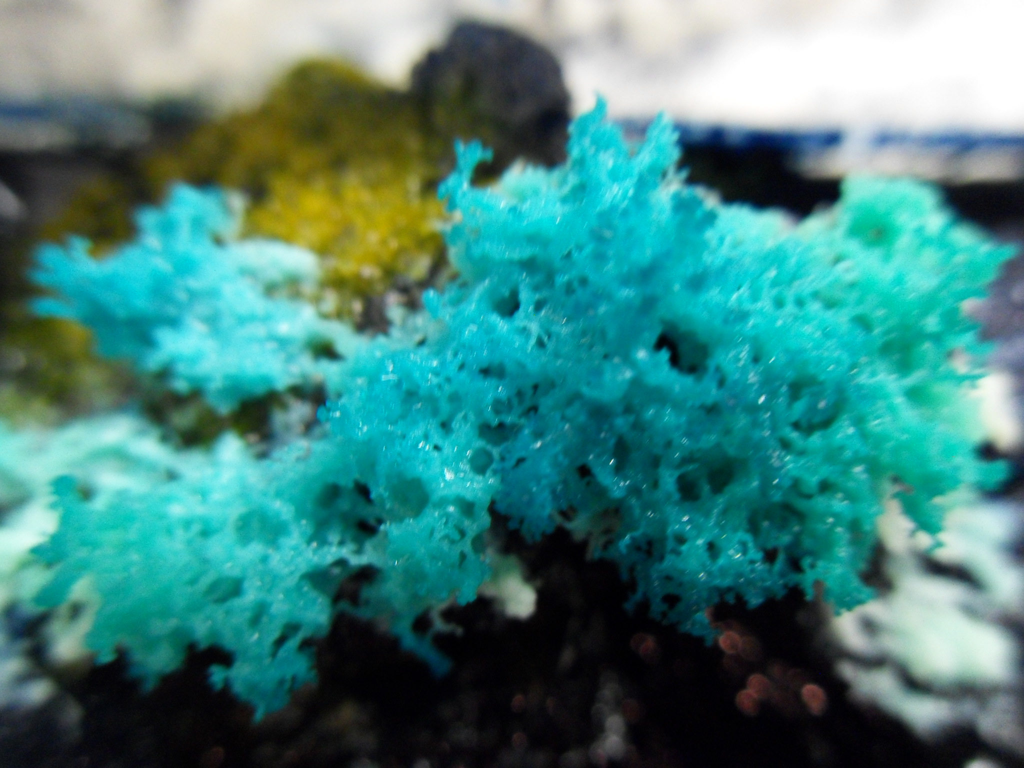 Coal Crystal Garden Recipe