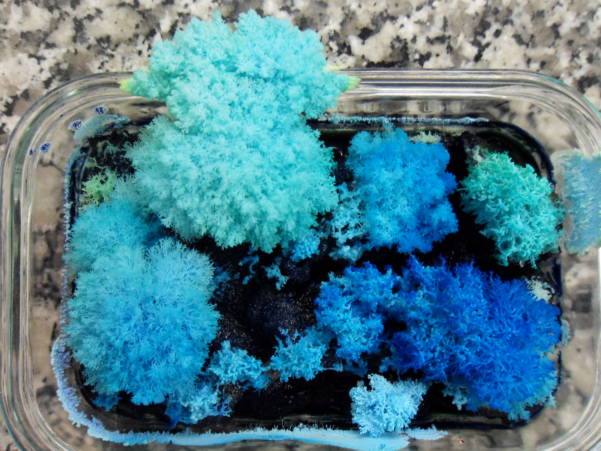 Charcoal Crystal Garden Recipe